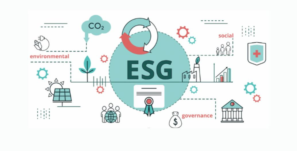 Etapas para incorporar o ESG na empresa
